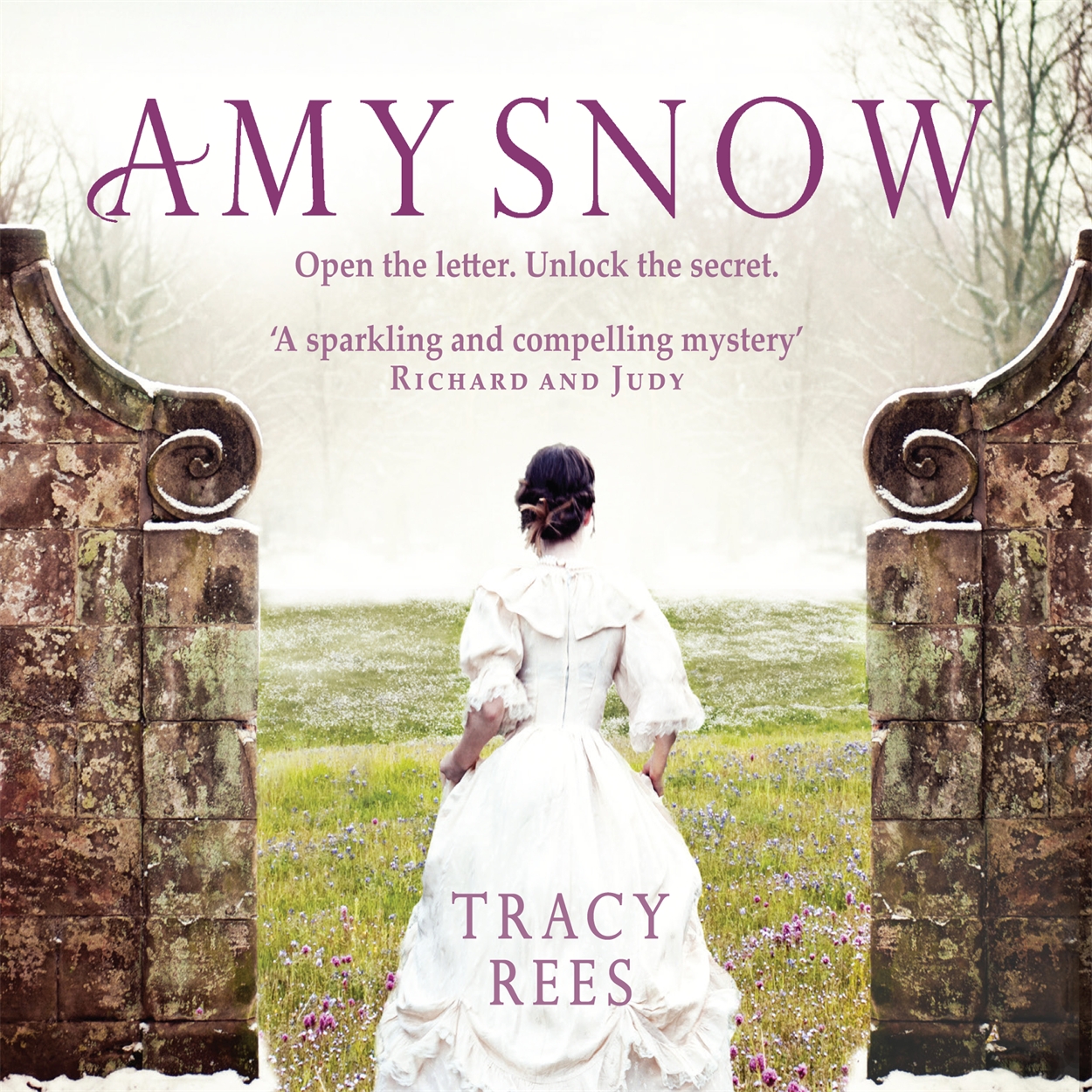 Amy Snow by Tracy Rees | Incredible books from Quercus Books