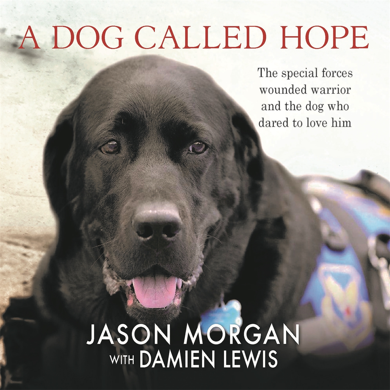 A Dog Called Hope by Damien Lewis | Incredible books from Quercus Books