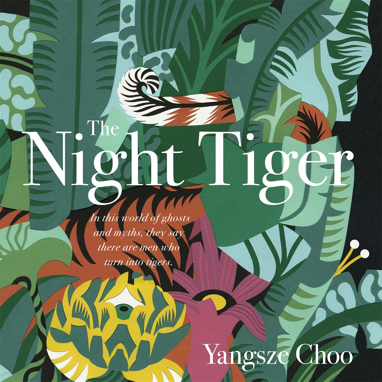 The Night Tiger by Yangsze Choo | Incredible books from Quercus Books