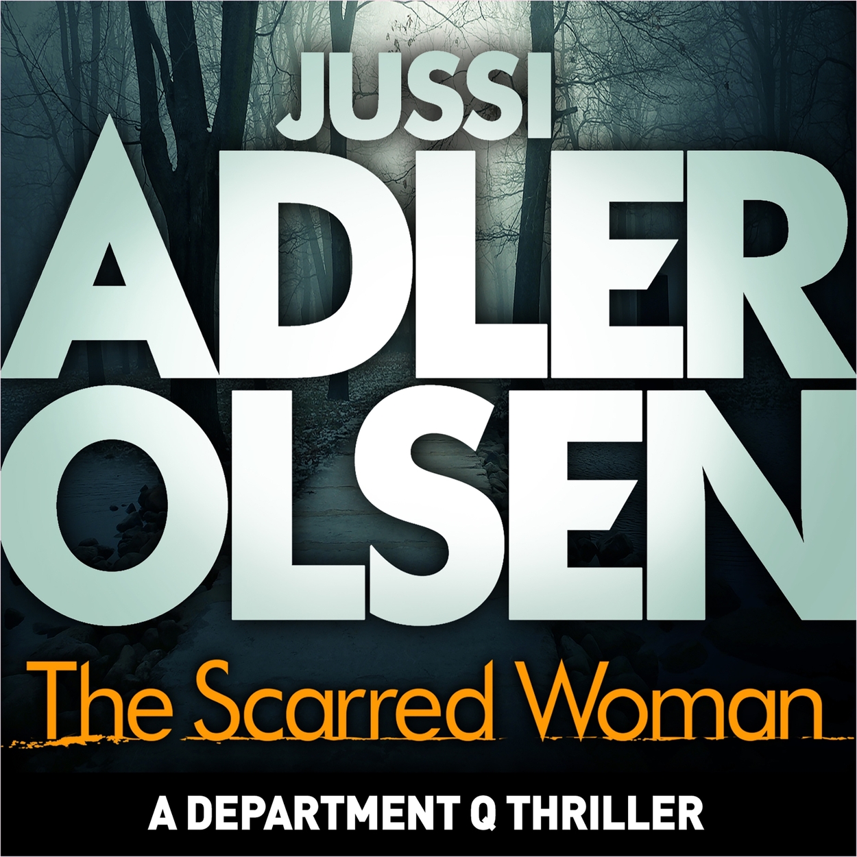The Scarred Woman by Jussi Adler-Olsen | Incredible books from Quercus ...
