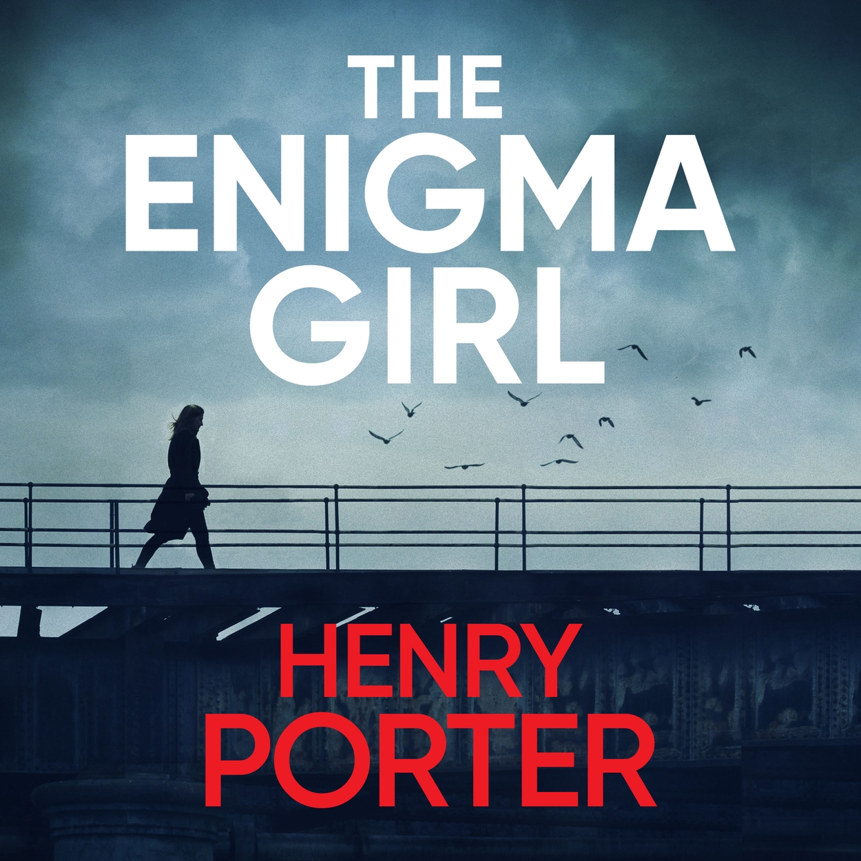 The Enigma Girl by Henry Porter | Incredible books from Quercus Books